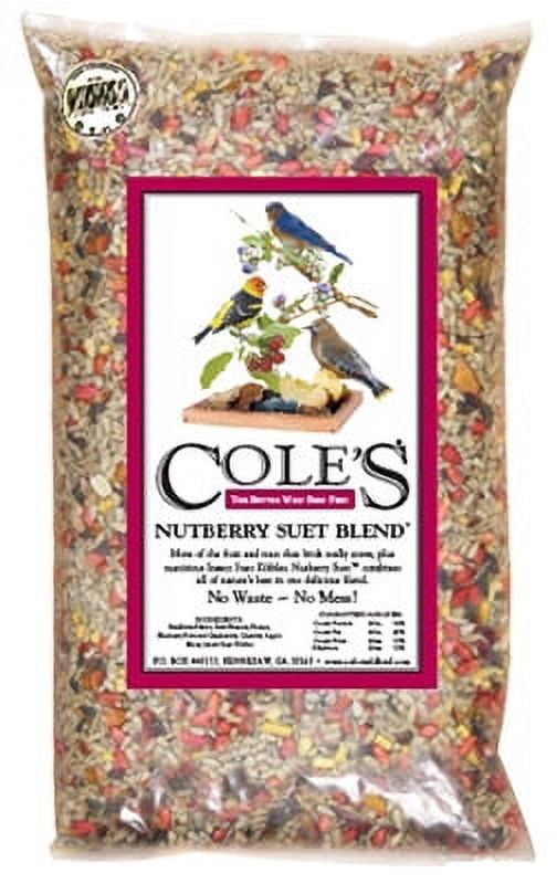 Bird Suet Fruit And Nuts