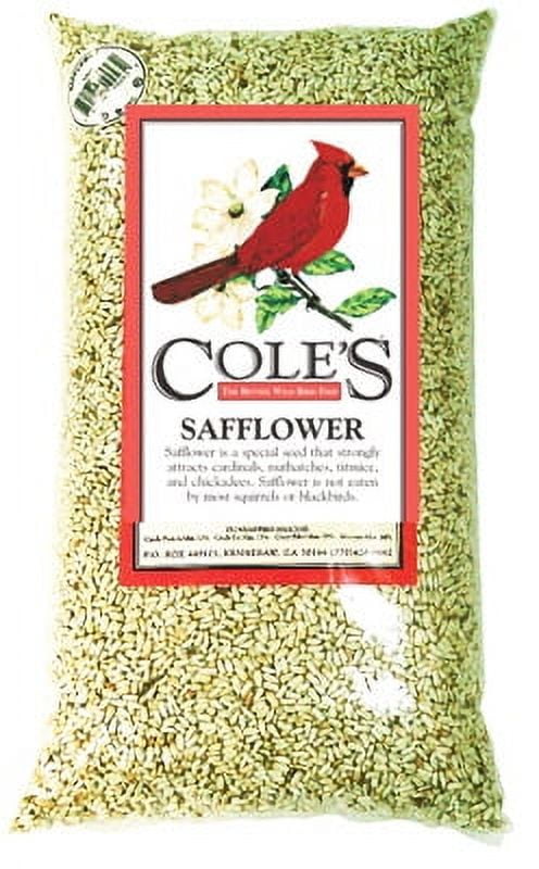 5 LB Safflower Bird Food Special Seed That Strongly Attracts Cardinals ...