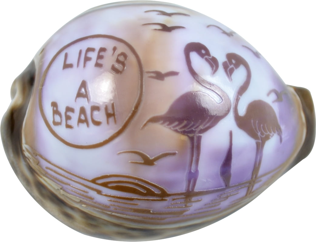 5 "LIFE'S A BEACH" Carved Cowrie Shells (Set of 5) - Walmart.com