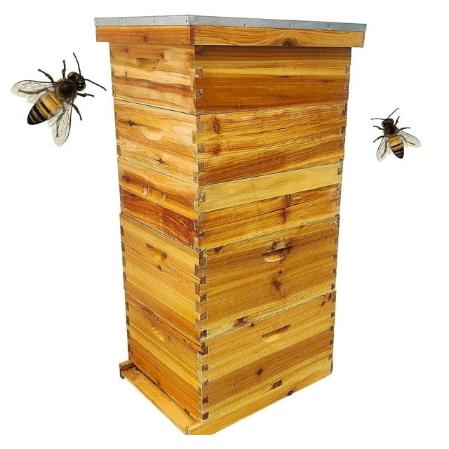 5 Layer Beehive, Bee Hive Dipped in 100% Beeswax, Include Queen ...