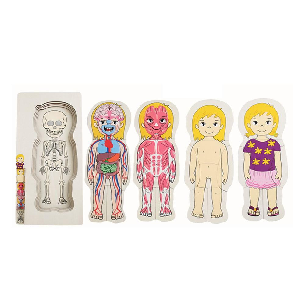 5-Layer Human Body Wooden Puzzle For Kids - Anatomy Learning Toy ...