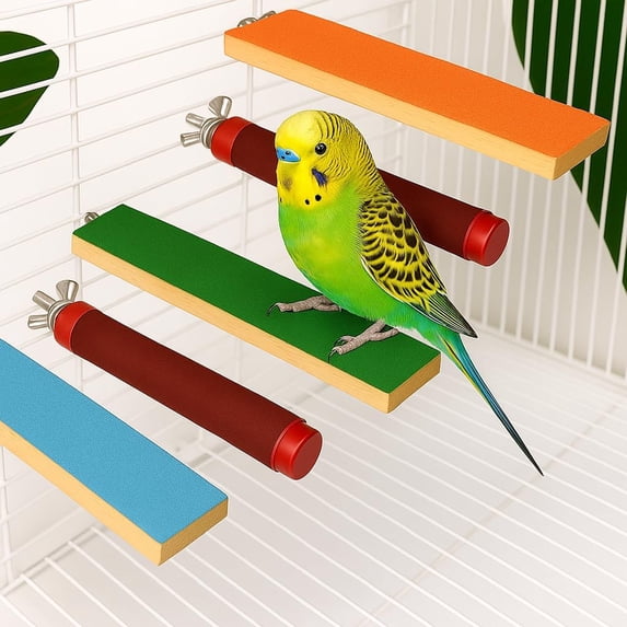 5 PCS Bird Perch Parrots Toys Sugar Glider and Bird Cage Accessories ...