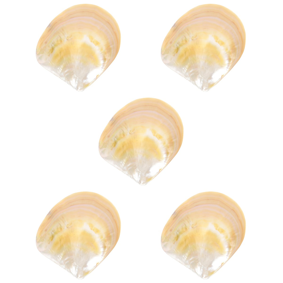 5 PCS Taco Shells Caviar Dish Dessert Serving Plate Household - Walmart.com