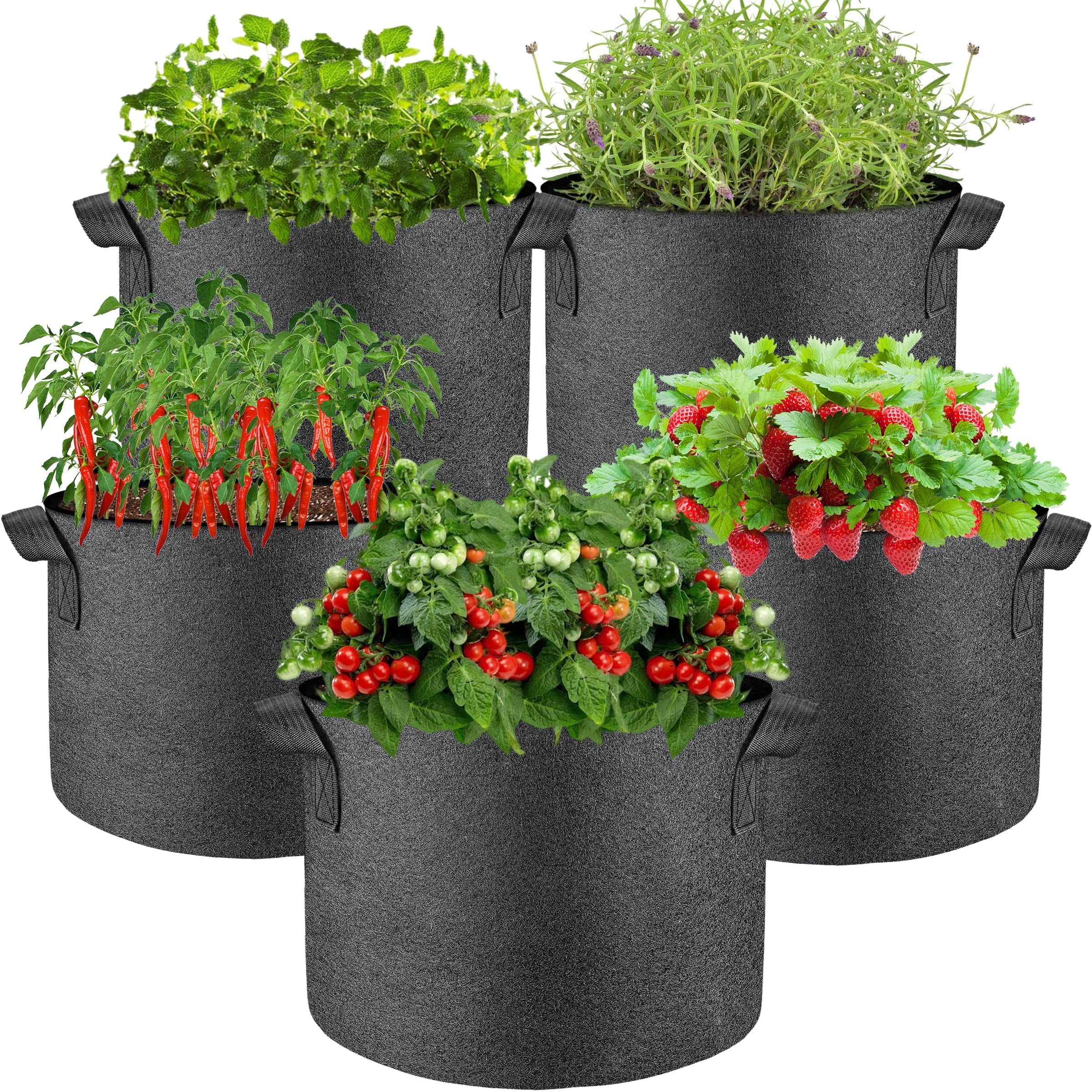 5-Pack 10 Gallon Breathable Grow Bags，Heavy-Duty Fabric Pots for ...
