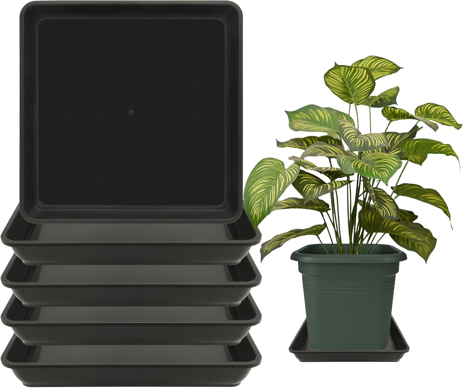 5 Pack 10 Inch Square Plant Saucers for Less 8.8 Inch Pot Indoors ...