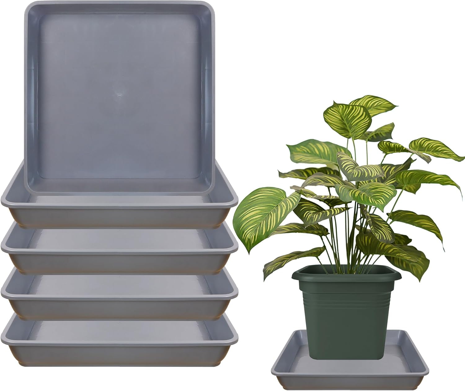 5 Pack 10 Inch Square Plant Saucers for Less 8.8Inch Pot Indoors ...