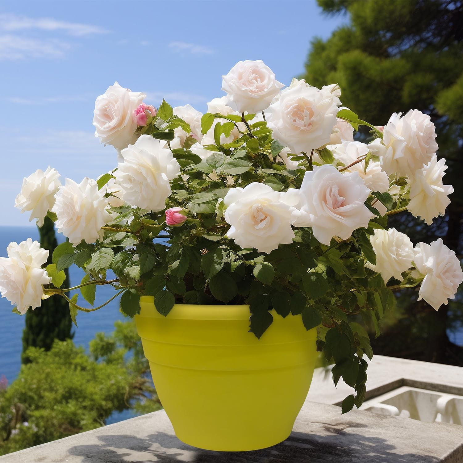 5-Pack 10 inch Garden Pots, Round Flower Pots with Drainage Holes ...