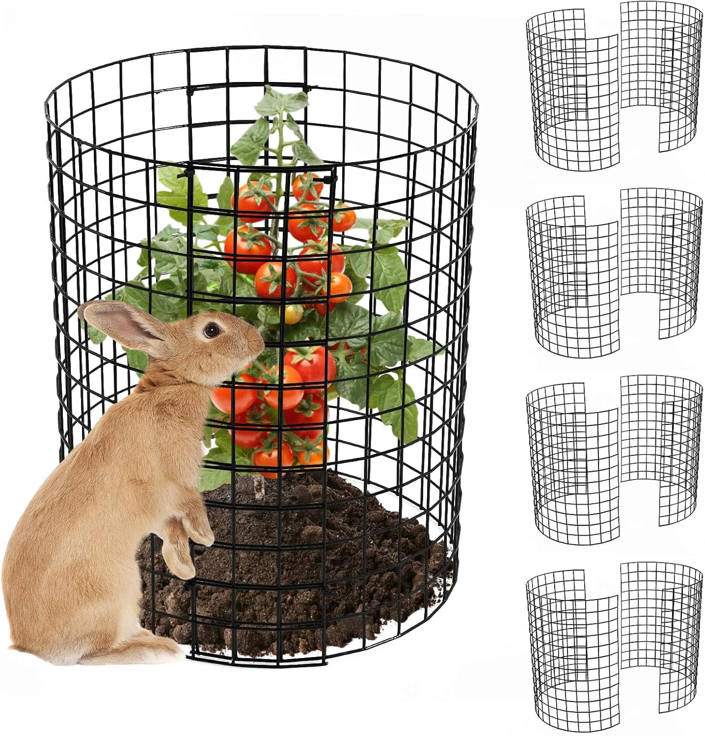 5 Pack 14'' Dia X 14'' H Metal Plant Cages To Keep Animals Out, Plant ...