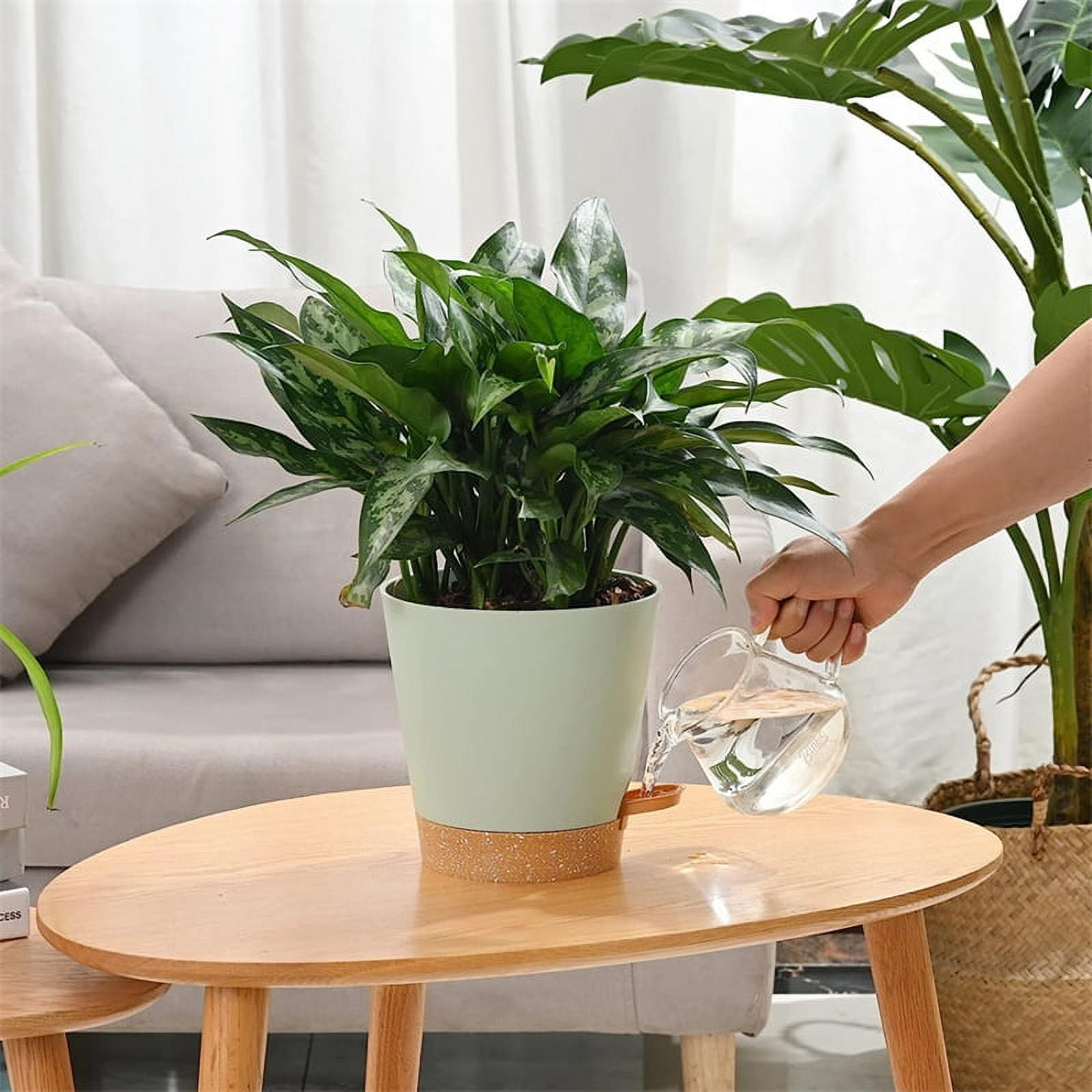 5 Pack 5 Inch Self Watering Pots for Indoor Plants, Flower Pots Planter ...