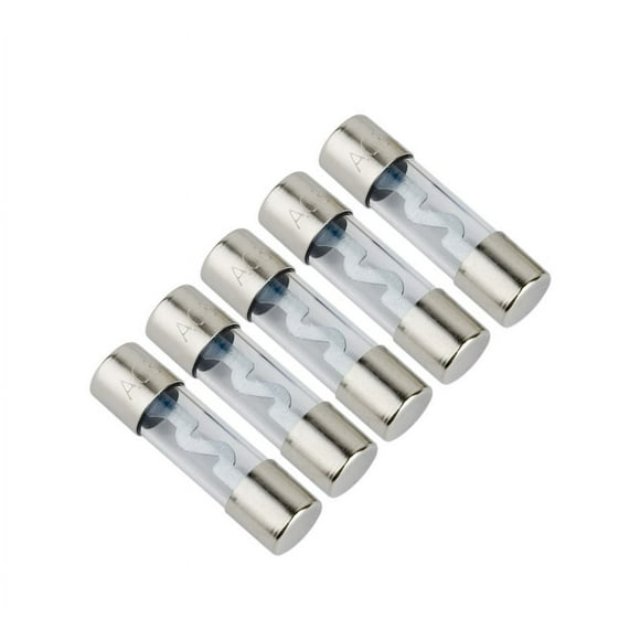 30 Amp Automotive Fuses