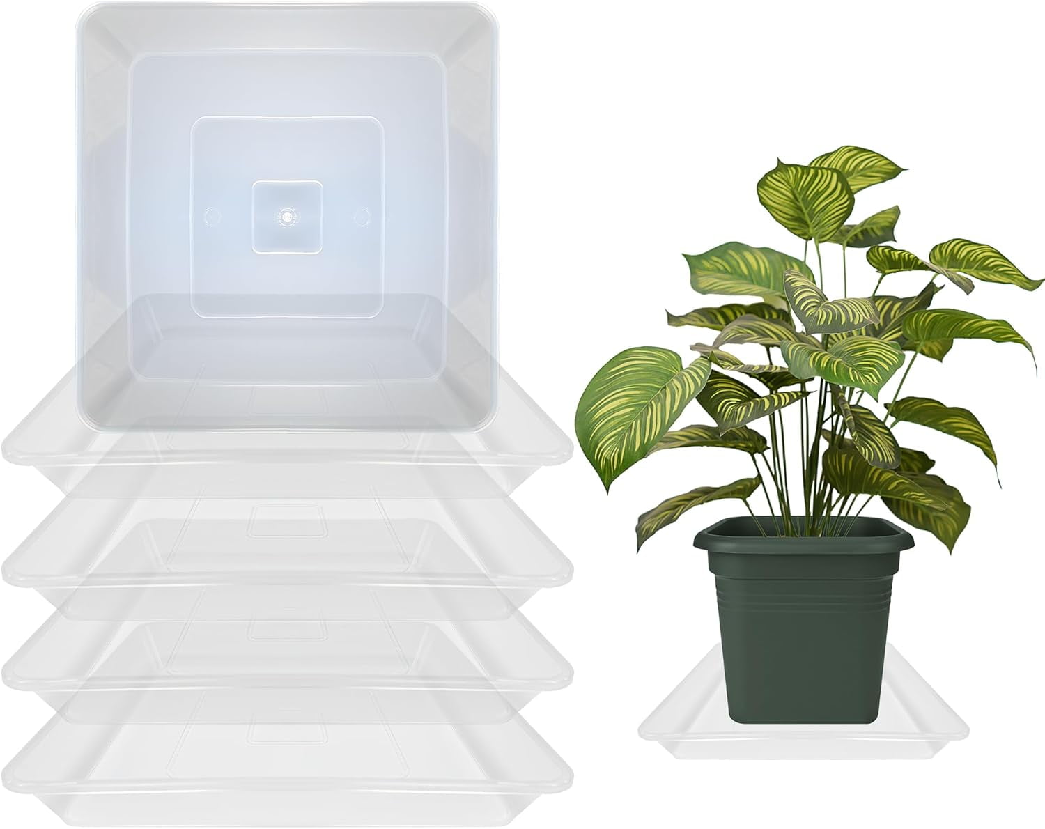 5 Pack 6 Inch Square Plant Saucers for Less 5 Inch Pot Indoors Outdoors ...