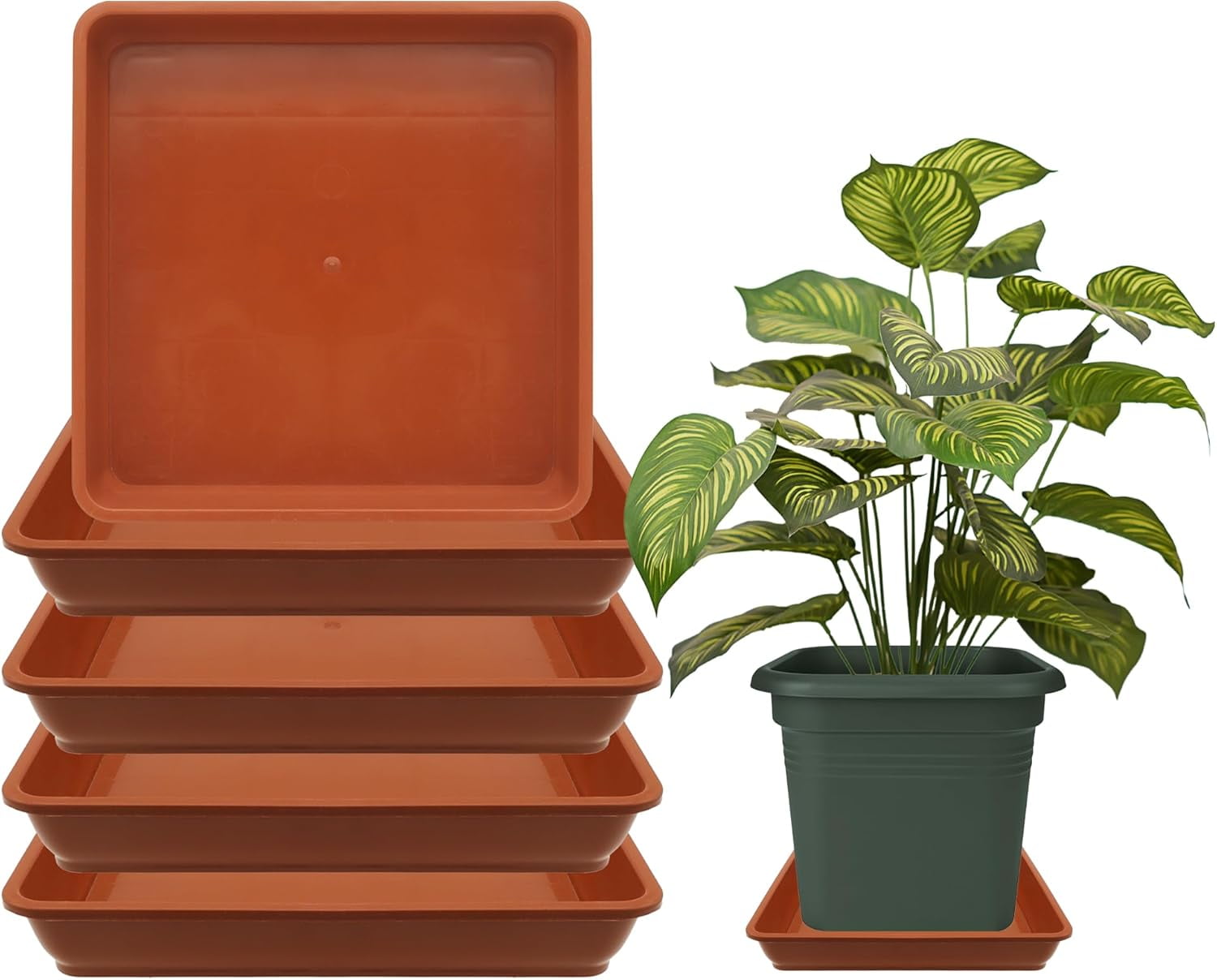 5 Pack 7 Inch Square Plant Saucers for Less 6Inch Pot Indoors Outdoors ...
