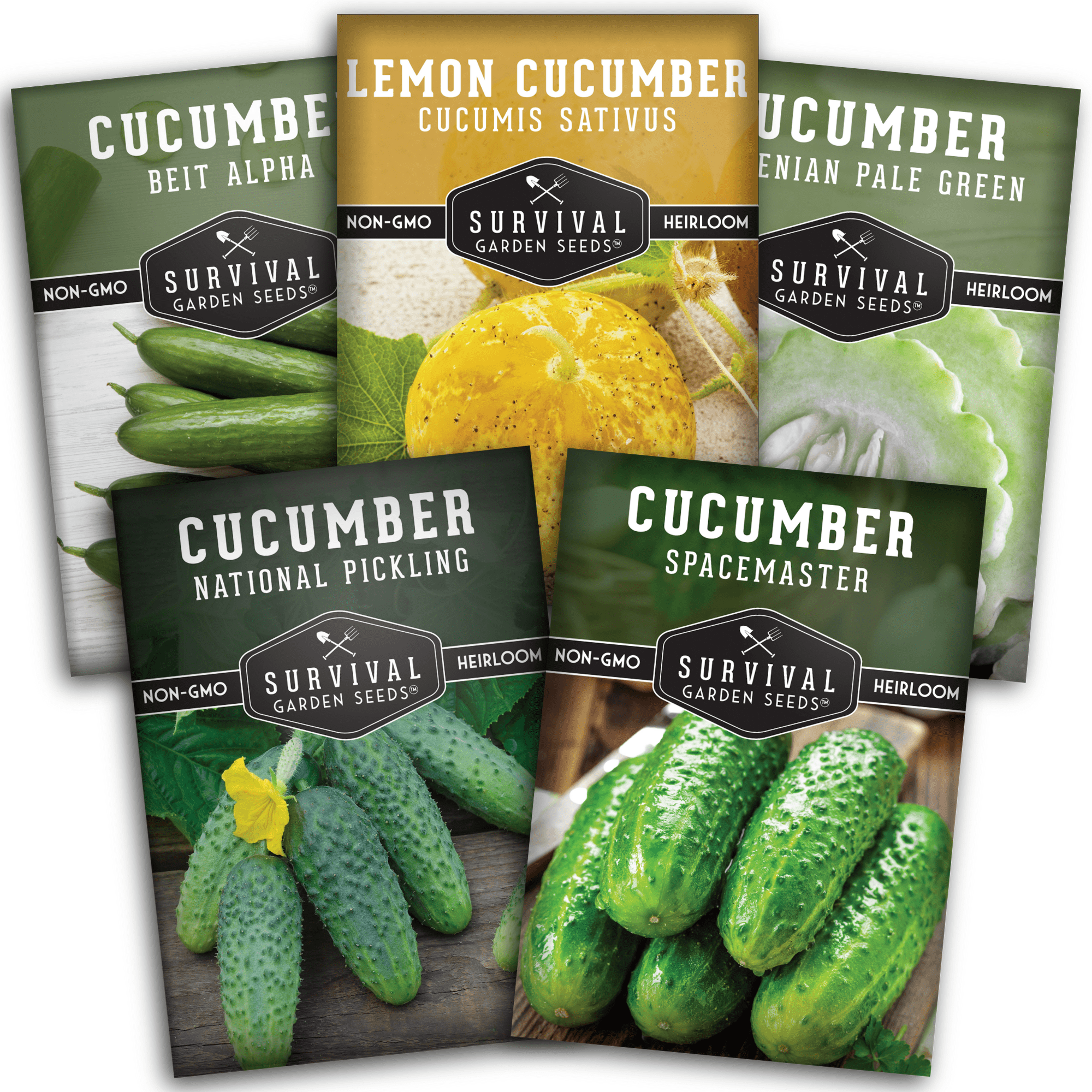 5 Pack Cucumber Seeds - Armenian Beit Alpha Lemon National Pickling ...