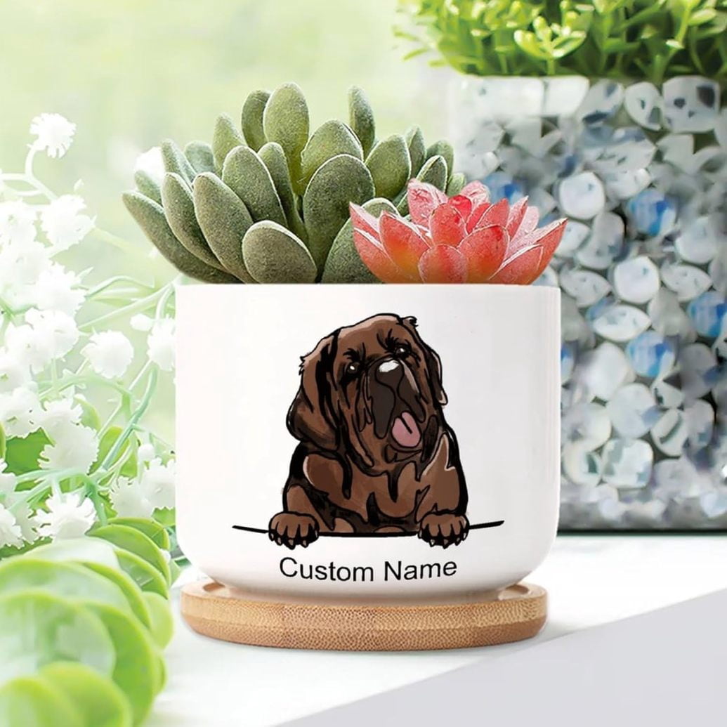 5 Pack Custom Ceramic Pots for Plants Spanish Mastiff Small Ceramic ...