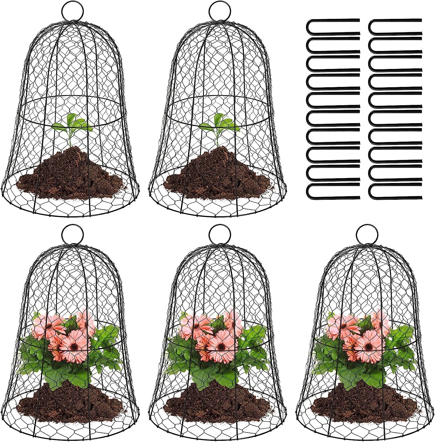 5 Pack Garden Chicken Wire Cloche, 16x 13 Inches Black Dome Plant ...