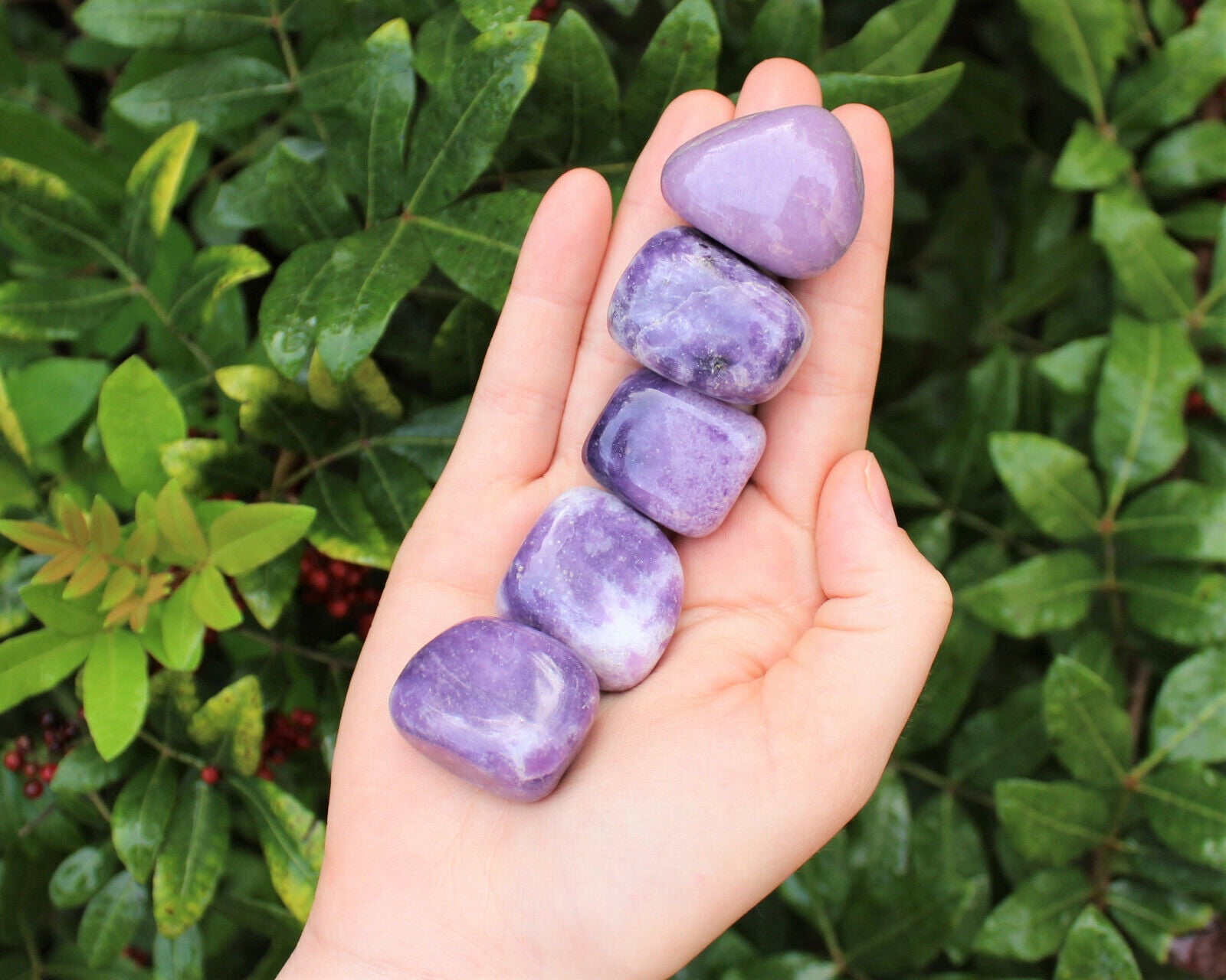5 Pack Lots Tumbled Stones: Choose Type (Crystal Healing, Bulk ...