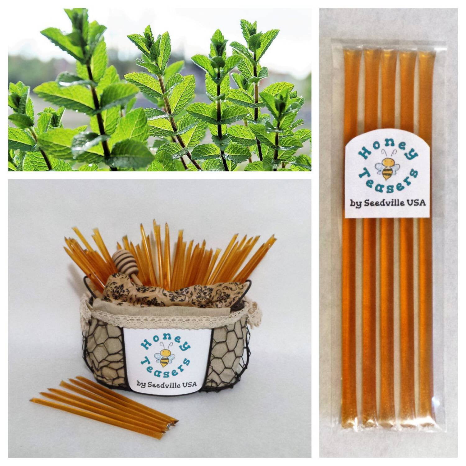 5 Pack MINT HONEY TEASERS Natural Honey Snack Sticks Honeystix Straws ...