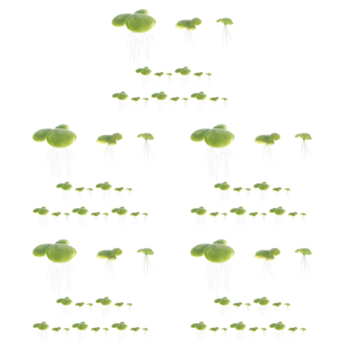 5 Pack Mic Artificial Duckweed Vivid Plants 4x4cm Light Green - Walmart.com