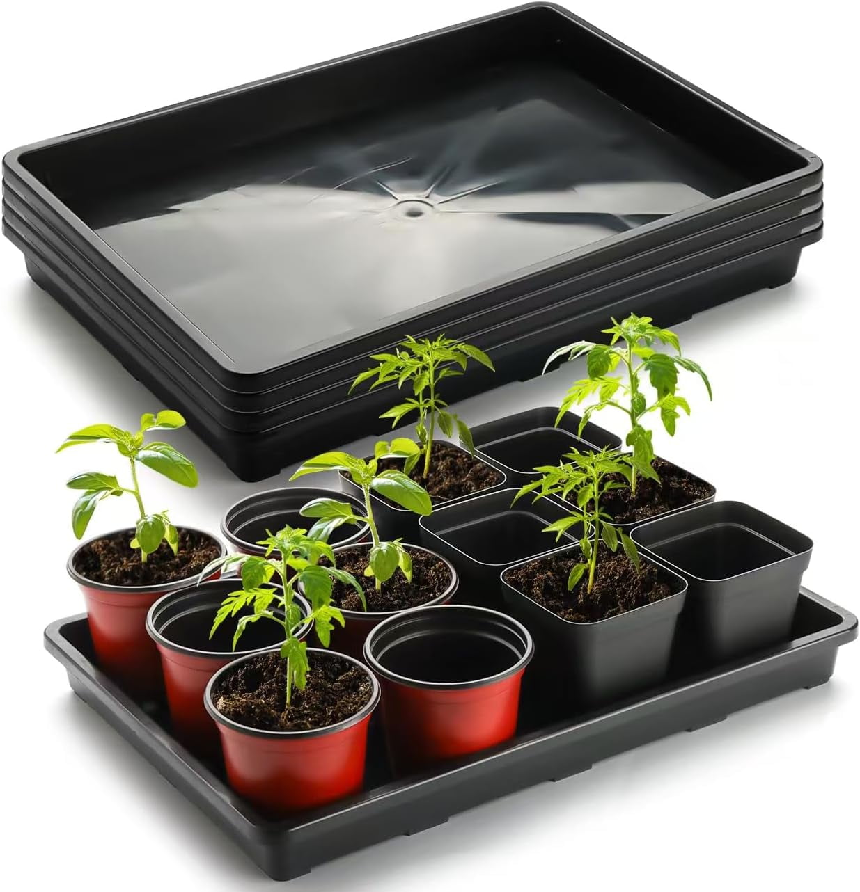 5 Pack Nursery Potting Tray, Carrying and Holding Plant Tray for Seeds ...
