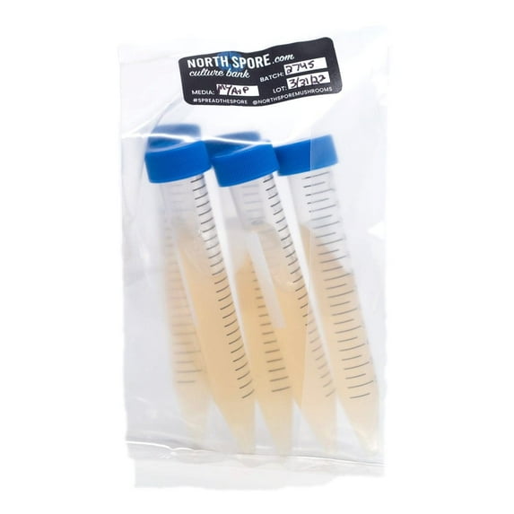 (5 Pack) Pre-Poured Sterile Agar Slants | Ideal for Mushroom Culture ...