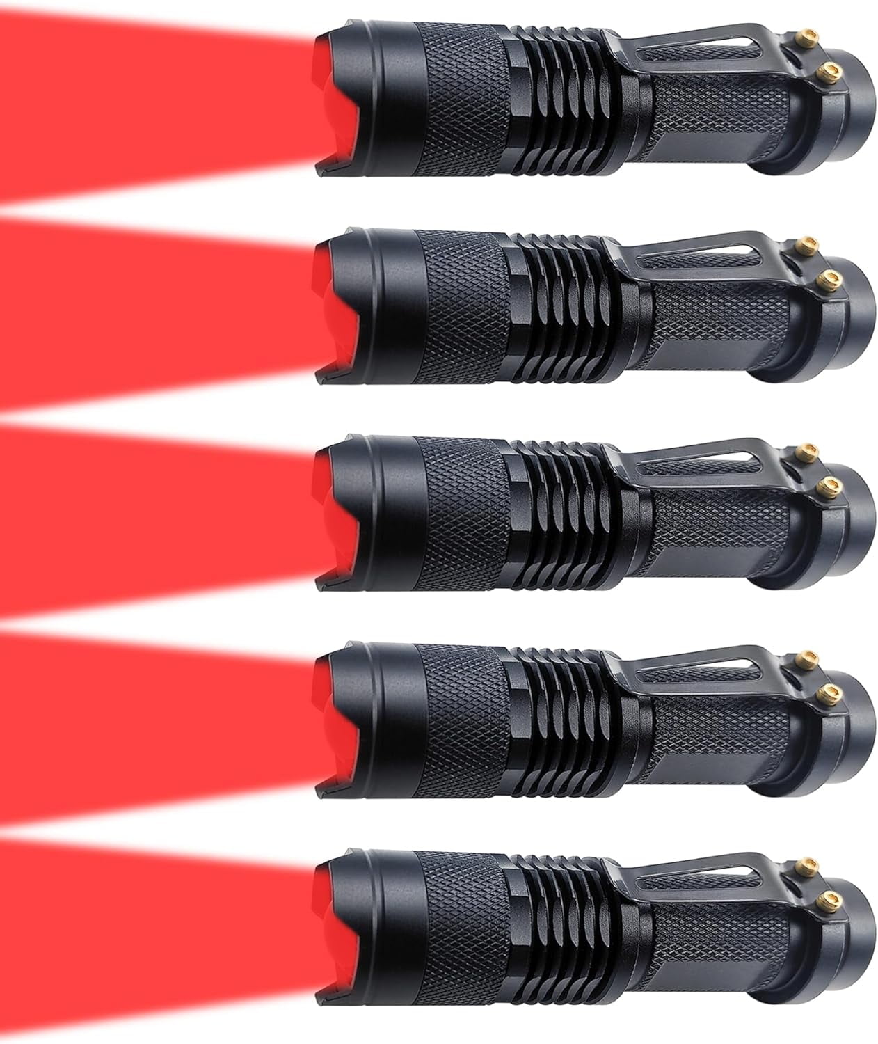 5 Pack Red Light Flashlight Single Mode Mini Flashlights Portable for ...