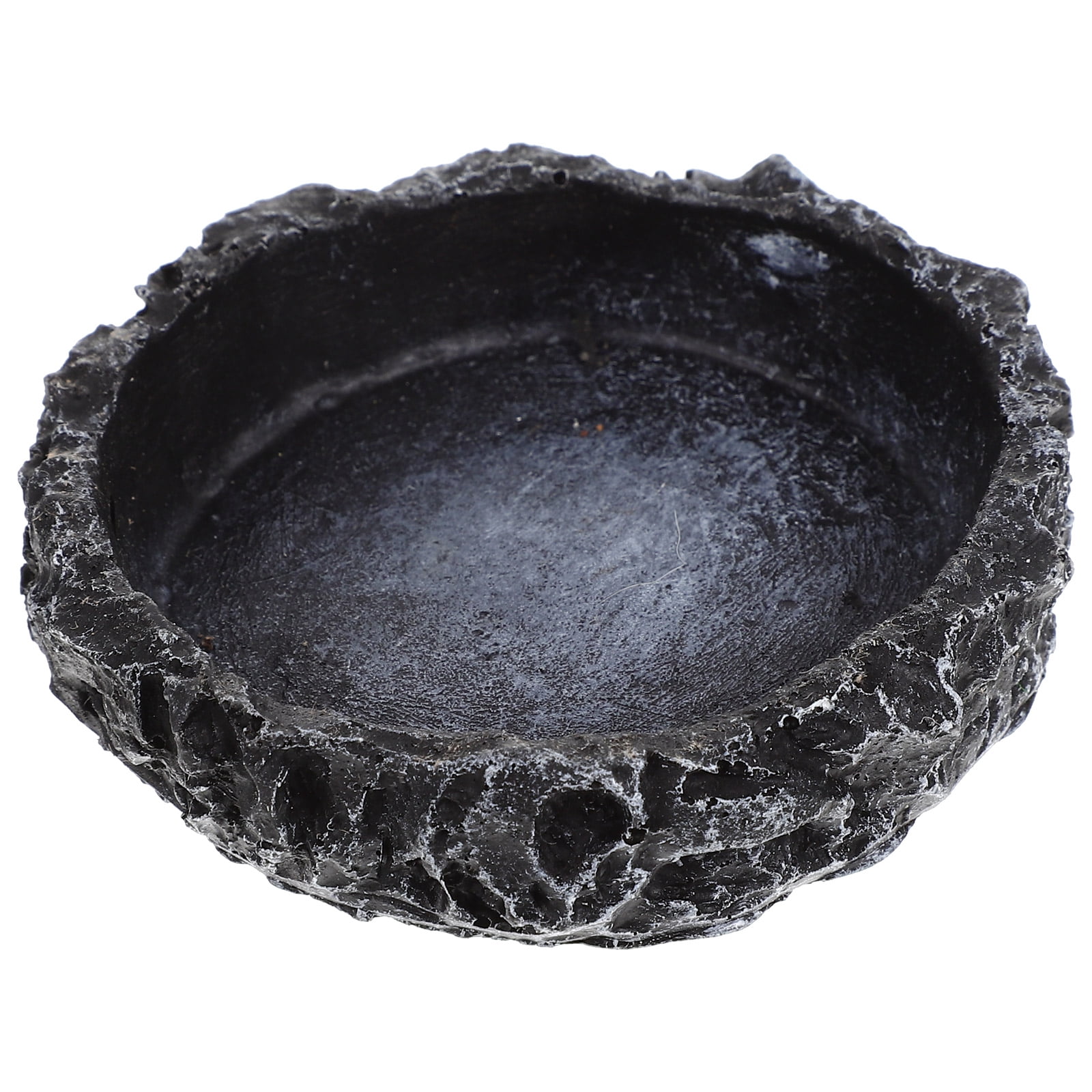 5 Pack Safety Use Reptile Bowl Fountain Tortoise Water Dispenser Gecko ...
