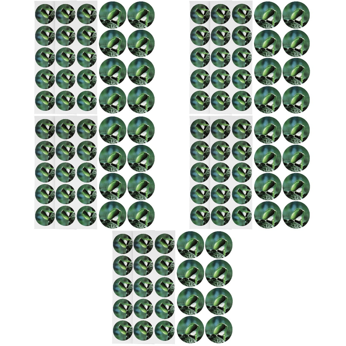 5 Pack Seed Pot Supplies Plants Label Sticker Hydroponic Self Watering ...