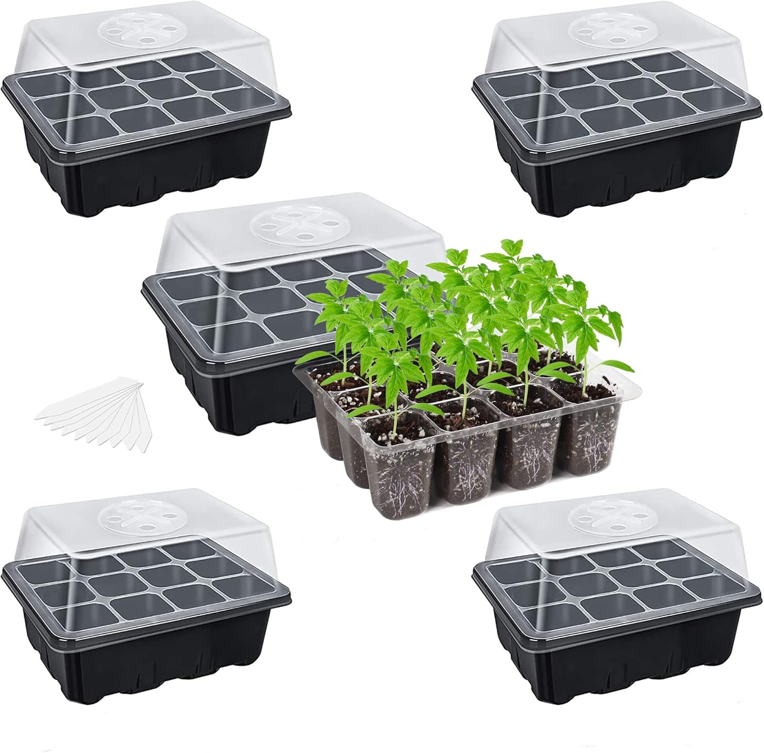 5-Pack Seed Starting Tray Seedling Kit, Plant Starting Kit with ...