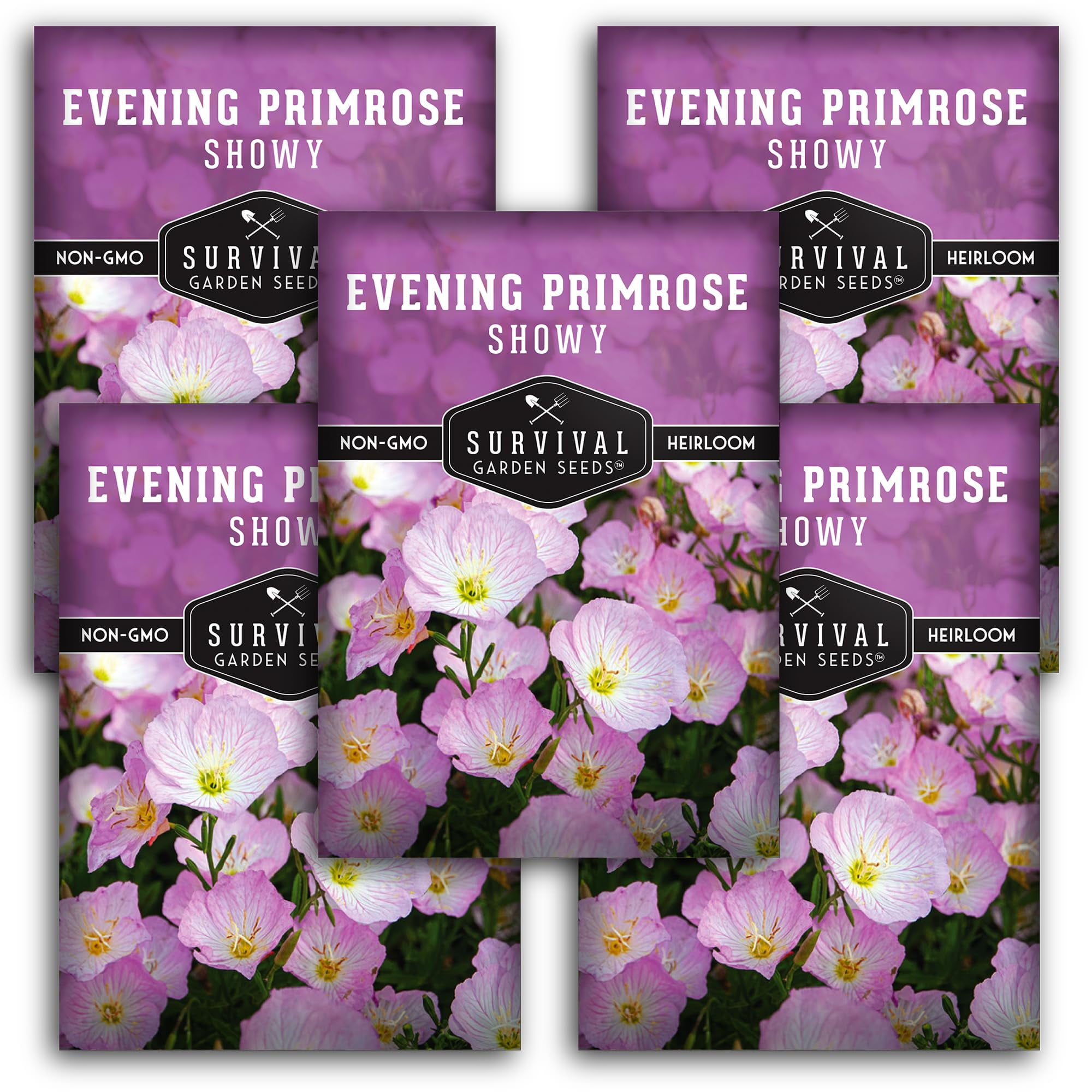 5 Pack Showy Evening Primrose Seeds - Pink Ladies - Perennial Full Sun ...