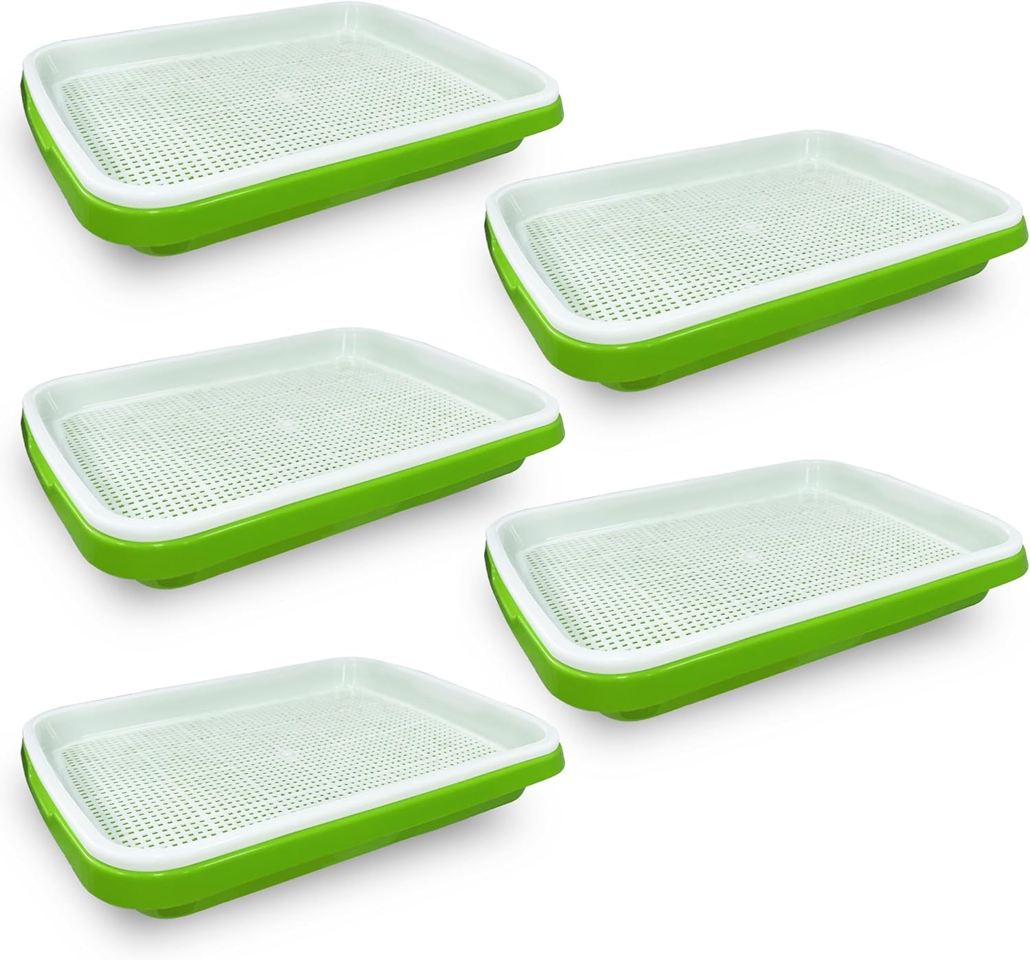 5-Pack Sprouts Growing Kit, Bean Tray, Soil-Free Sprouting Ideal for ...