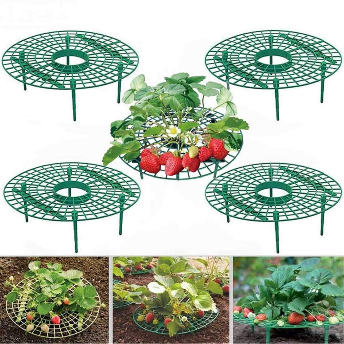 5 Pack Strawberry Supports, Keeping Fruit Elevated & Balcony Planting ...