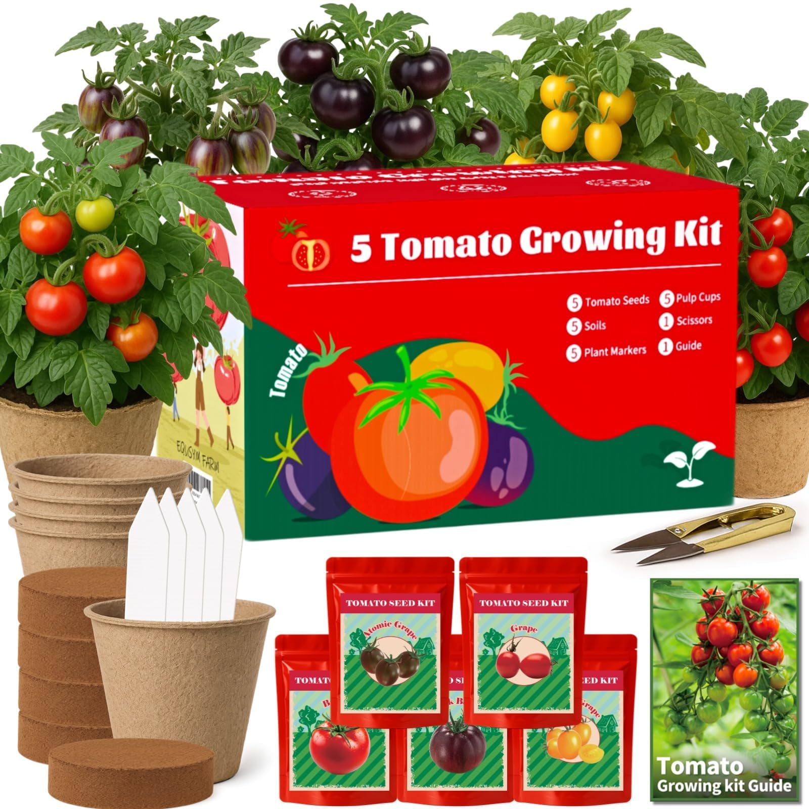 5 Pack Tomato Seeds for Planting MTN1 - 100+ Heirloom Tomato & Tomatillo Seeds Variety Pack to ...