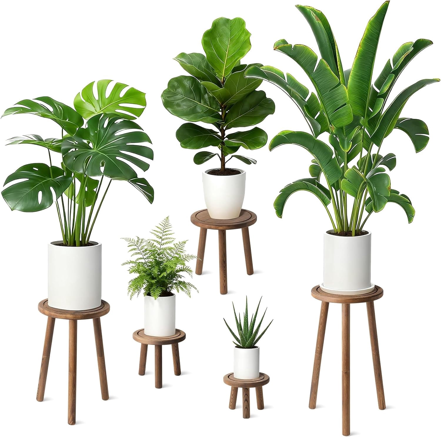 5-Pack Wood Plant Stands Indoor, Single Plant Stand for 6-22 Inch Pots ...