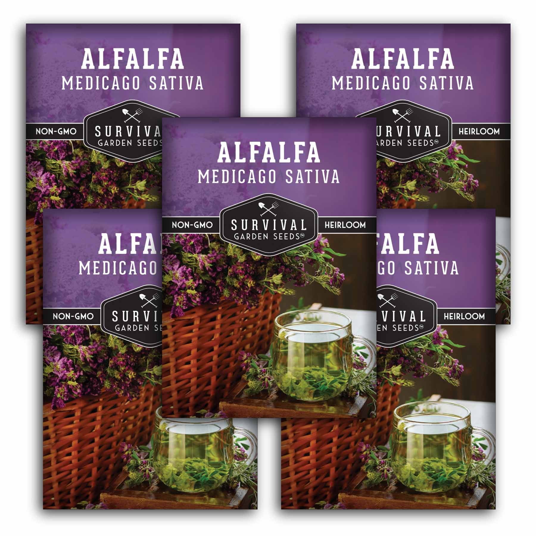5 Packs Alfalfa Seeds - Non-GMO Heirloom Full Sun Annual Herb Seeds ...
