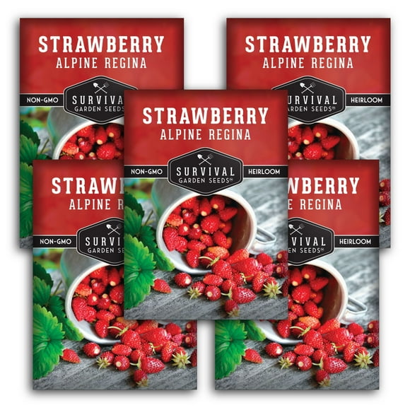 Strawberry Seeds in Seed Gardening - Walmart.com