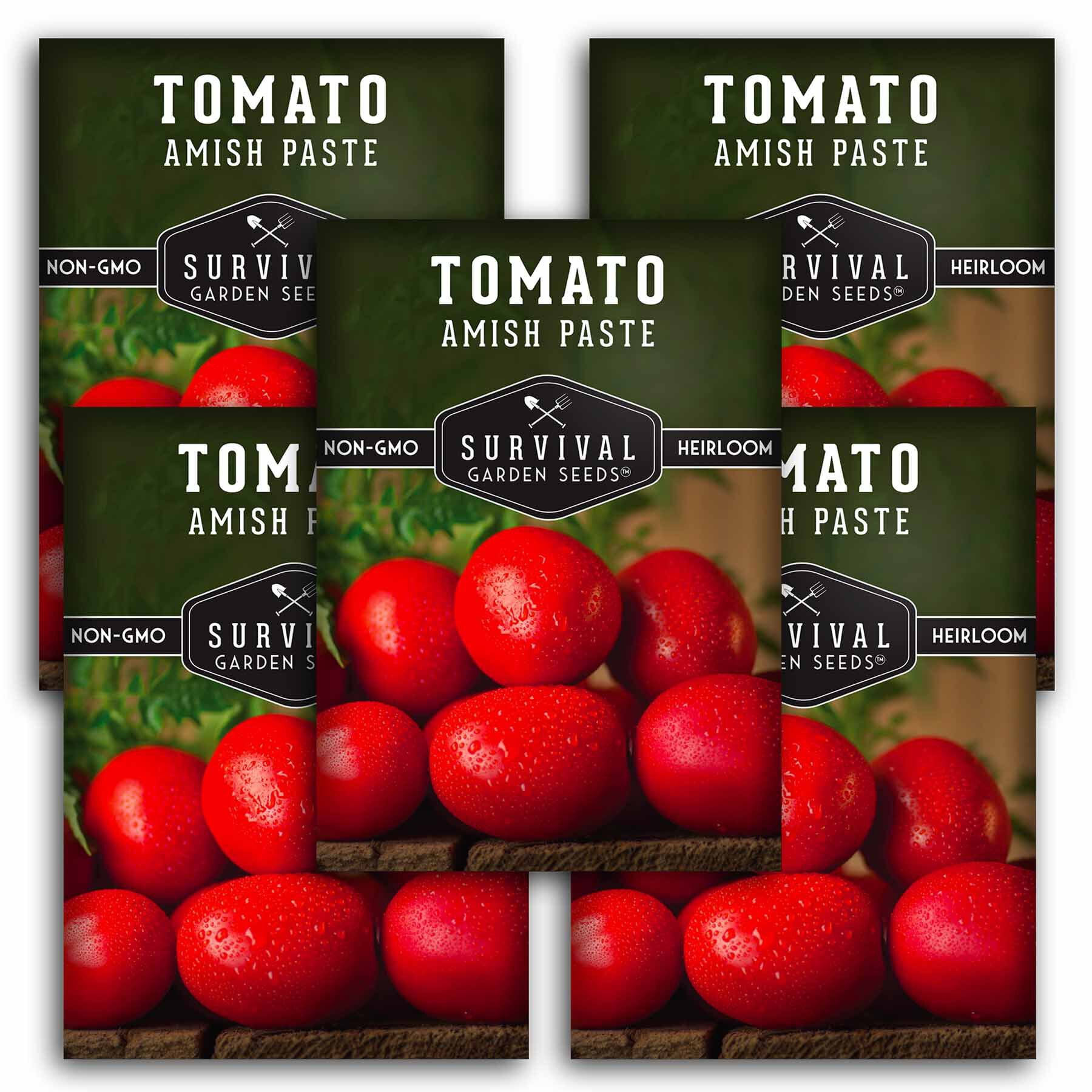 5 Packs Amish Paste Tomato Seed - Non-GMO Heirloom Full Sun Annual ...