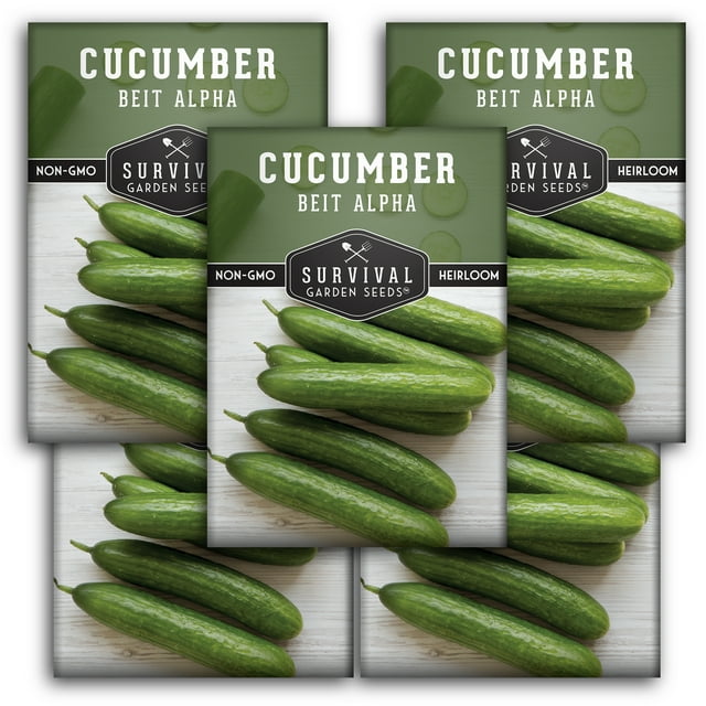 5 Packs Beit Alpha Cucumber Seed - Non-GMO Heirloom Full Sun Annual ...