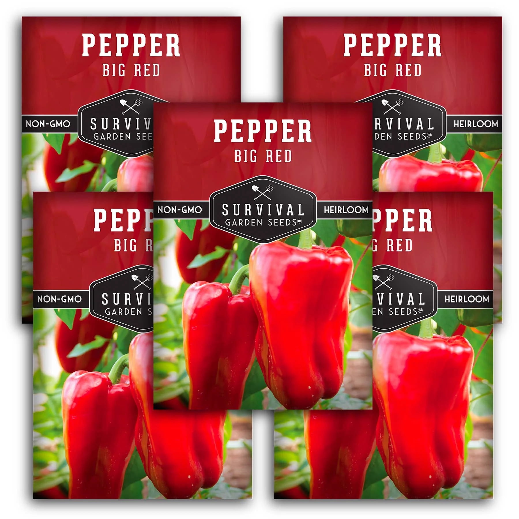 5 packs Big Red Pepper Seeds - Non-GMO Heirloom Full Sun Annual ...