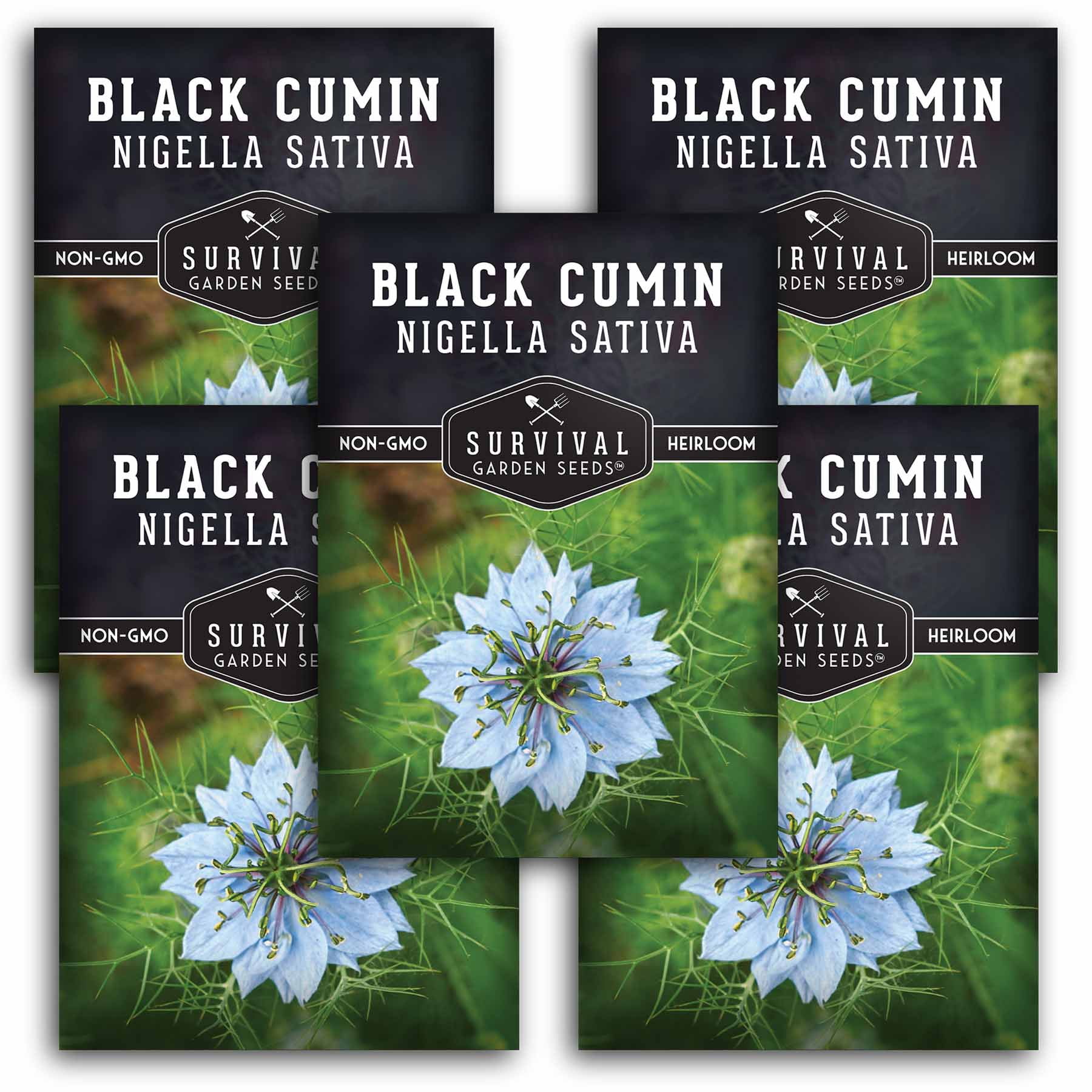 5 Packs Black Cumin Seed - Nigella Sativa - Non-GMO Heirloom Perennial ...