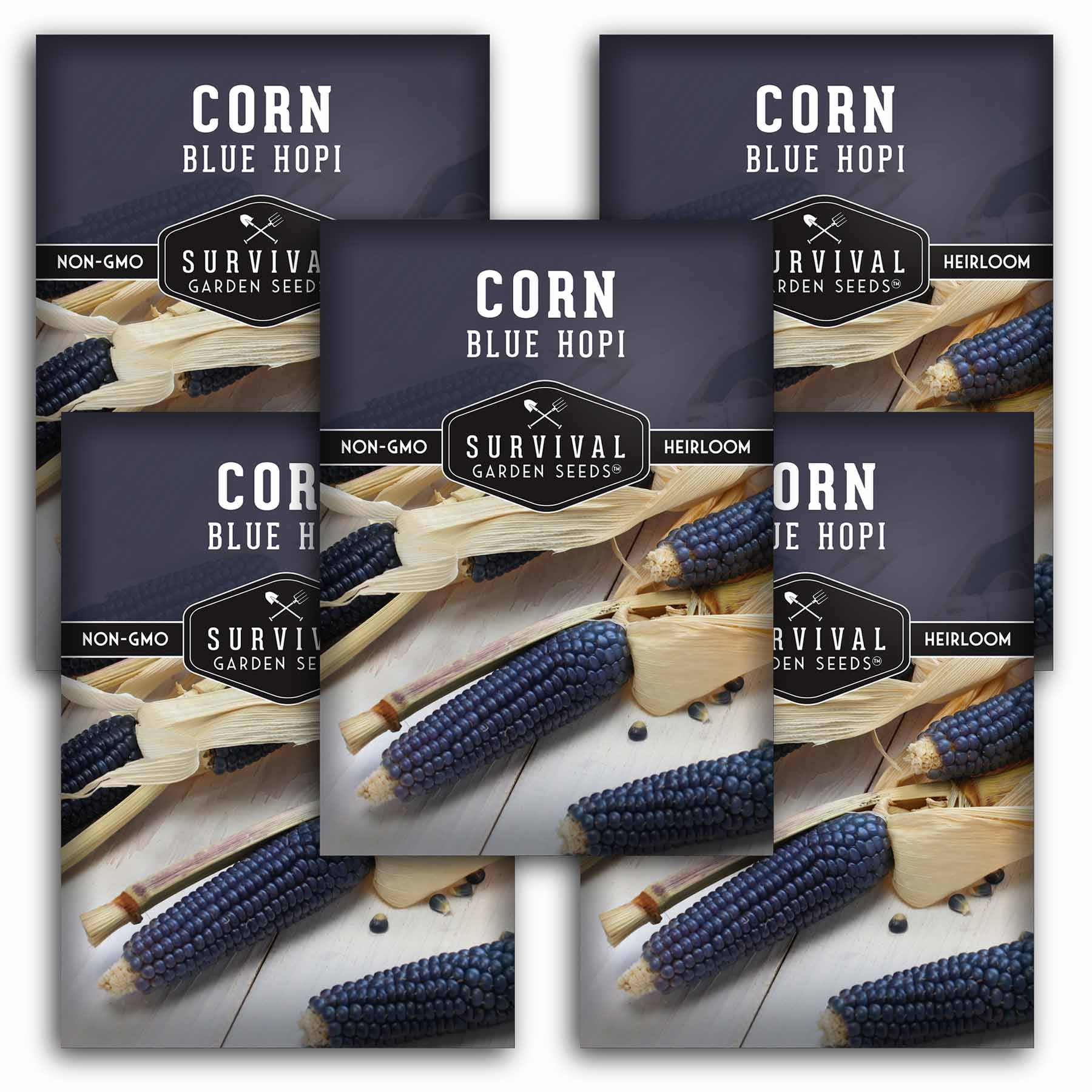 5 packs Blue Hopi Corn Seeds - Heritage Blue Maize - Non-GMO Heirloom ...