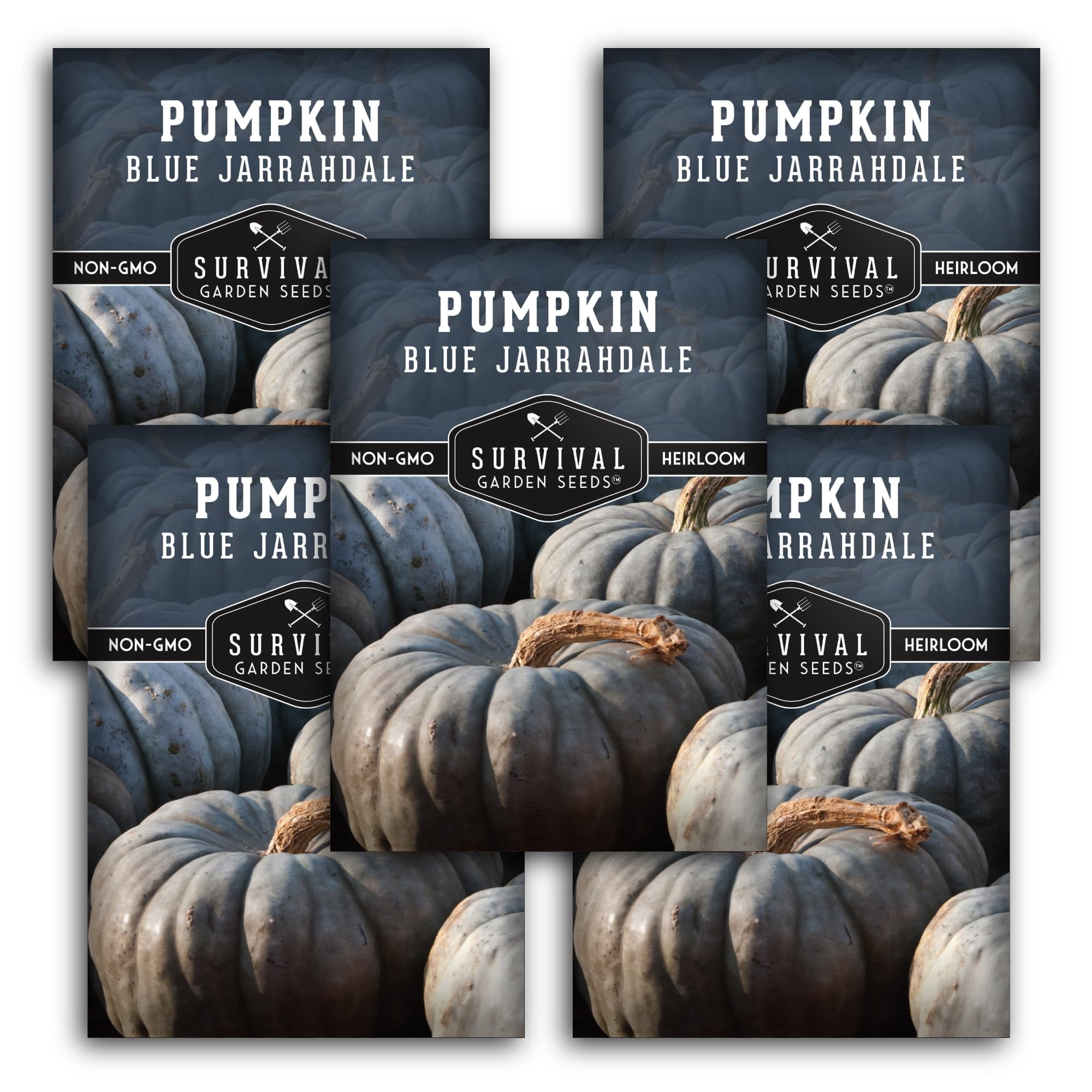 5 Packs Blue Jarrahdale Pumpkin Seeds - Non-GMO Heirloom Annual Full ...