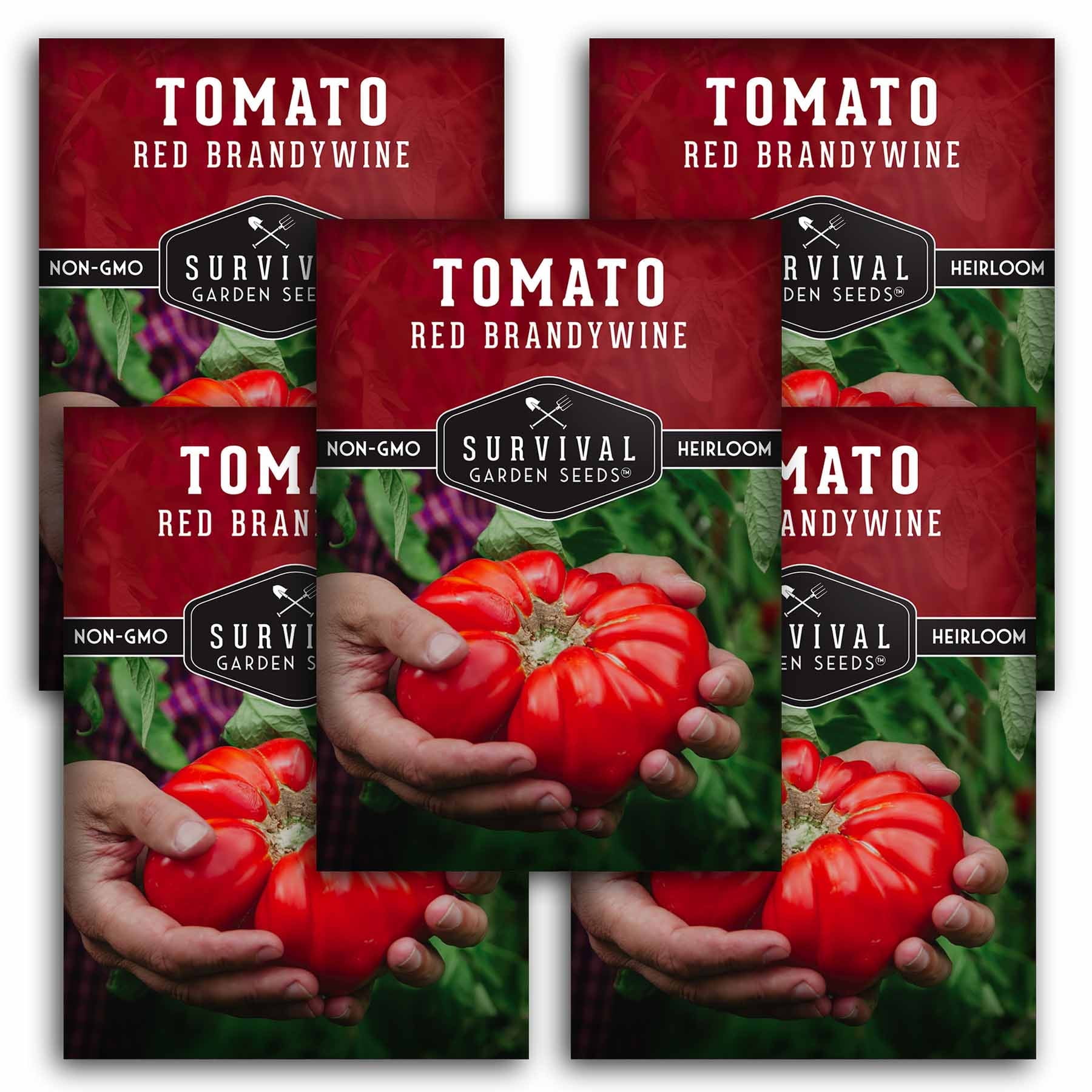 5 Packs Brandywine Red Tomato - Non-GMO Heirloom Full Sun Annual ...