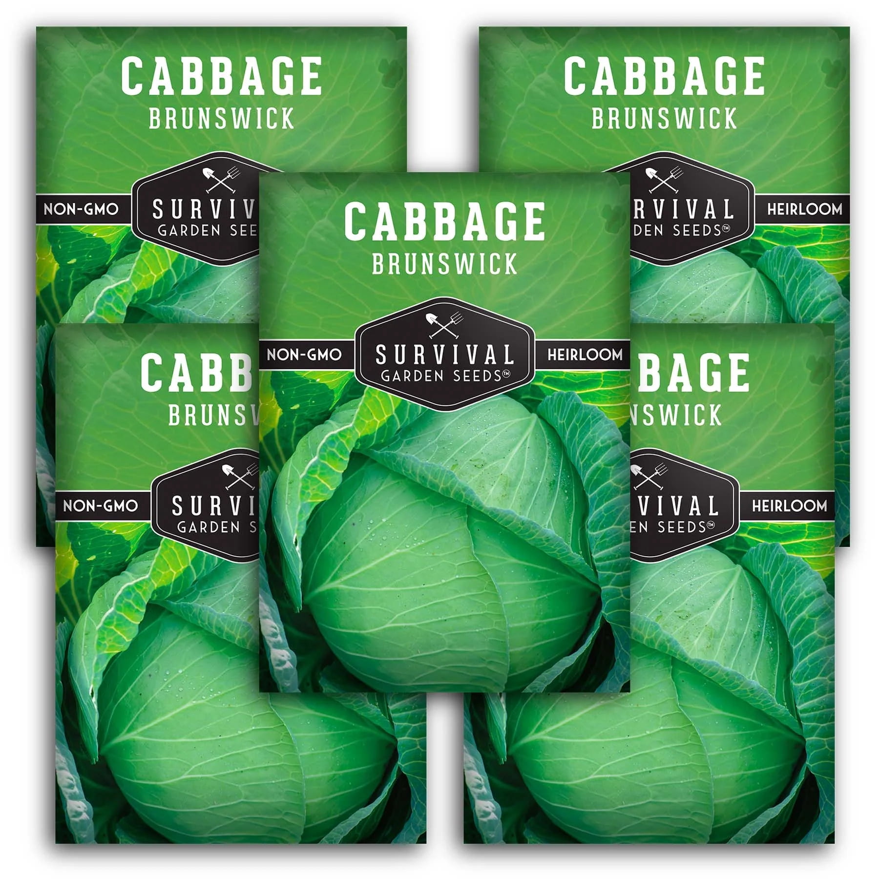 5 packs Brunswick Cabbage Seed - Non-GMO Heirloom Full Sun Biennial ...
