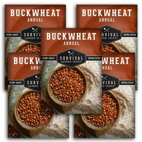 Buckwheat Seeds