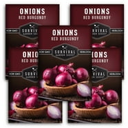 2 Packs Ailsa Craig Onion Seed - Long-Day Sweet Yellow Onions - Non-GMO ...