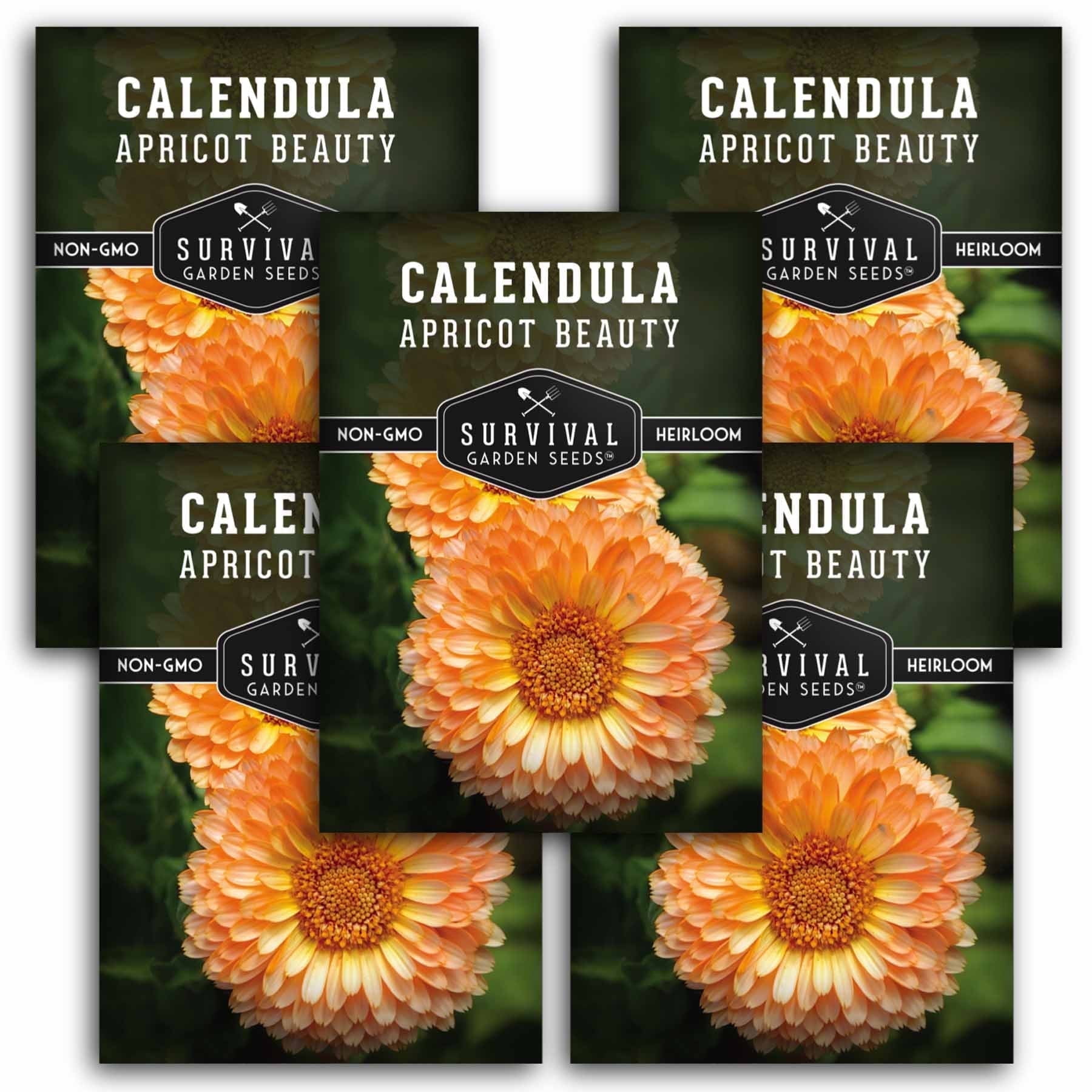 5 Packs Calendula Apricot Beauty Seeds - Calendula Officinalis - Non ...