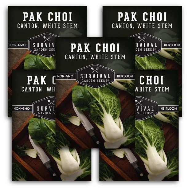 5 Packs Canton White Stem Pak Choi or Bok Choy Seed - Non-GMO Heirloom ...