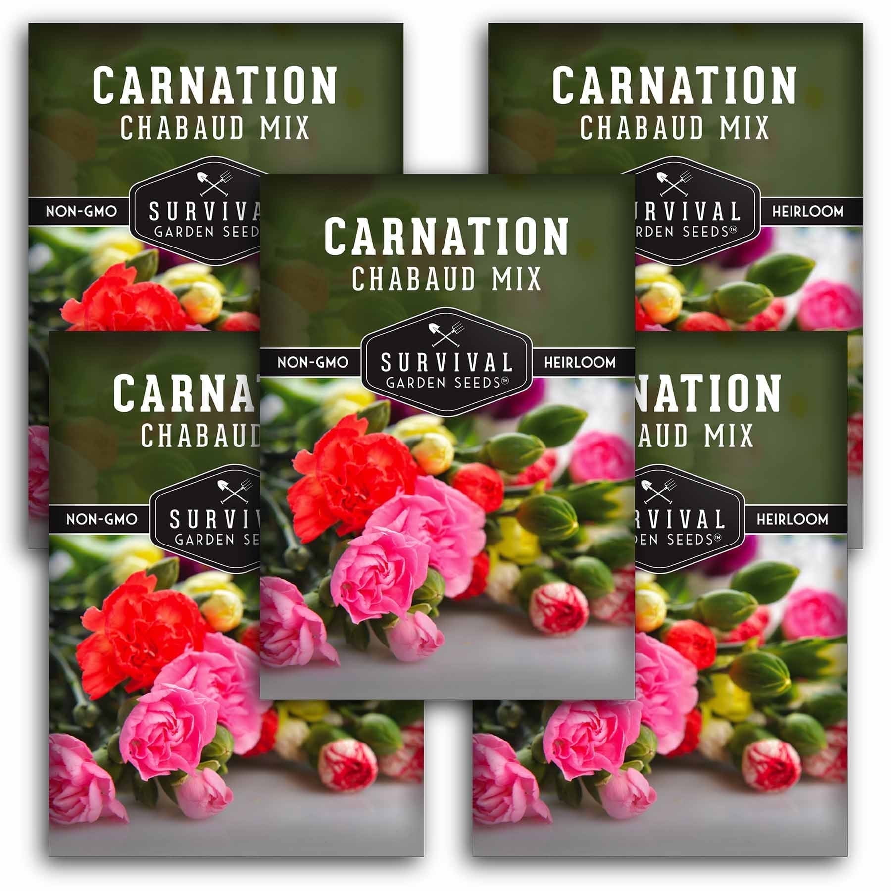 5 packs Chabaud Mix Carnation Seed - Dianthus Caryophyllus - Non-GMO ...