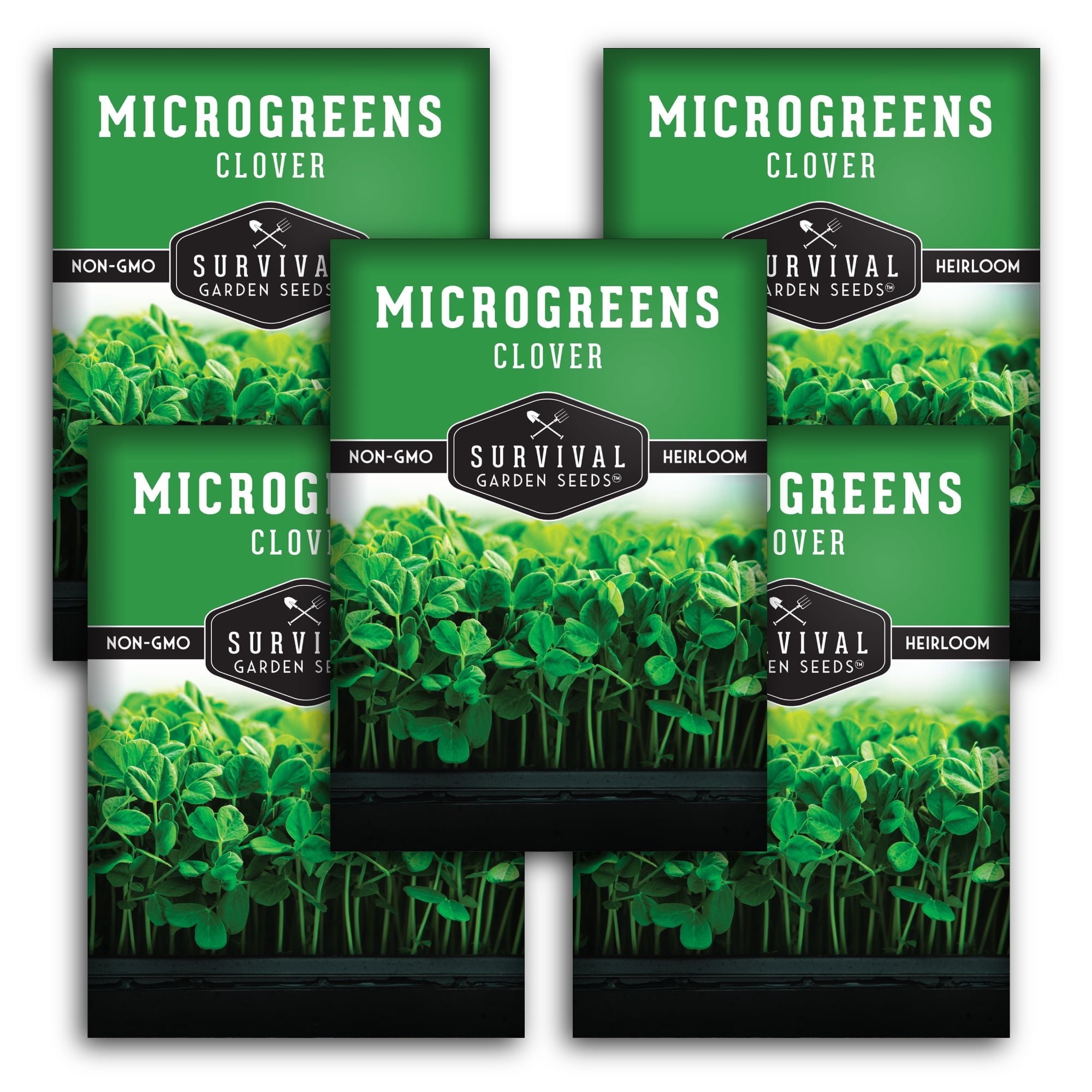 5 Packs Clover Microgreens Seeds - Non-GMO Heirloom Annual Full Sun ...