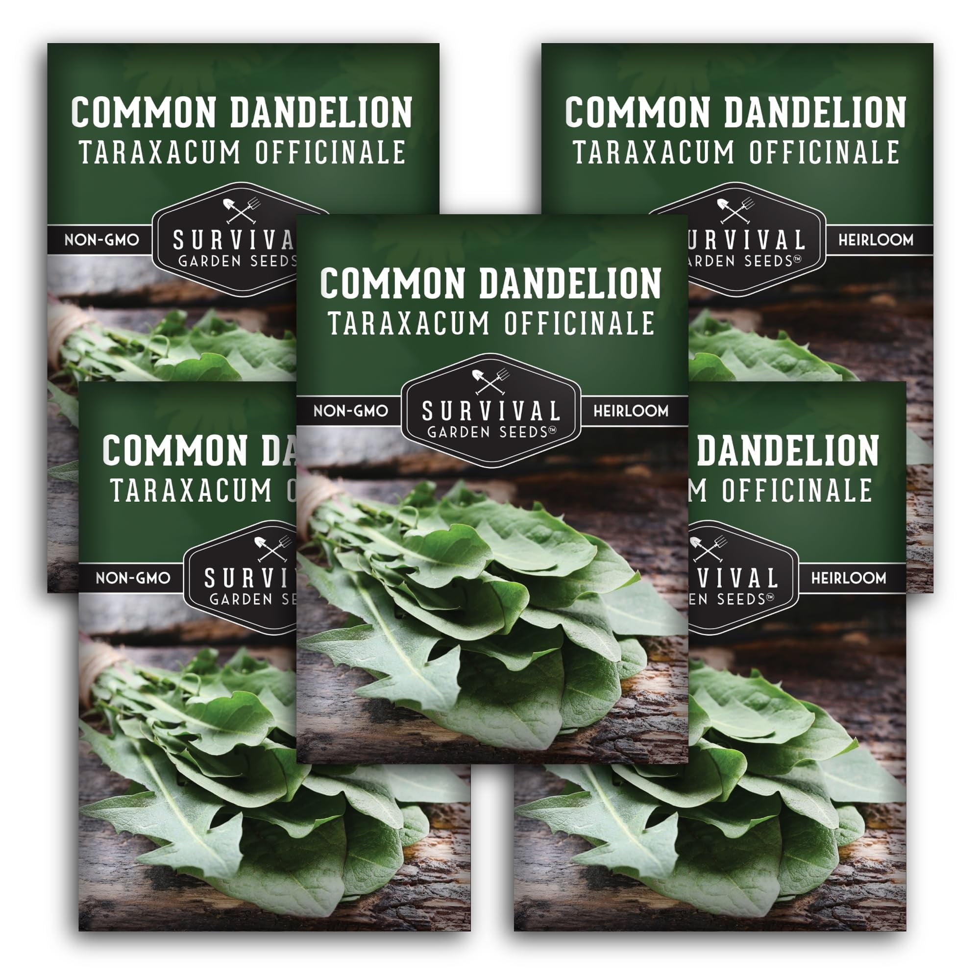 5 Packs Common Dandelion Seeds - Organic Non-GMO Heirloom Perennial ...